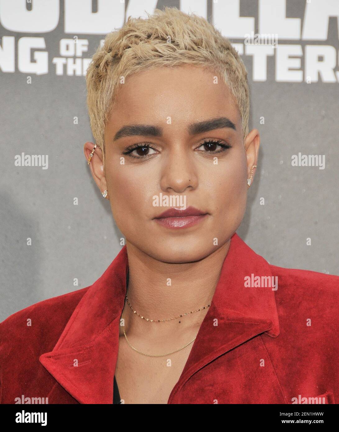 Elizabeth Ludlow arrives at the "Godzilla: King of the Monsters " World ...