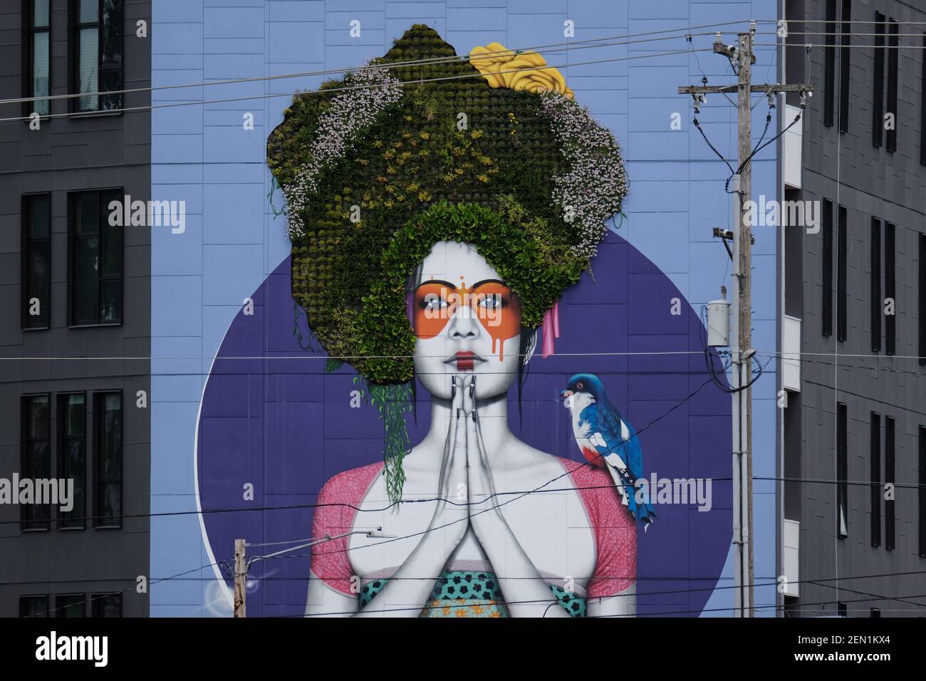 The living mural by London based muralist Fin DAC is pictured on the ...