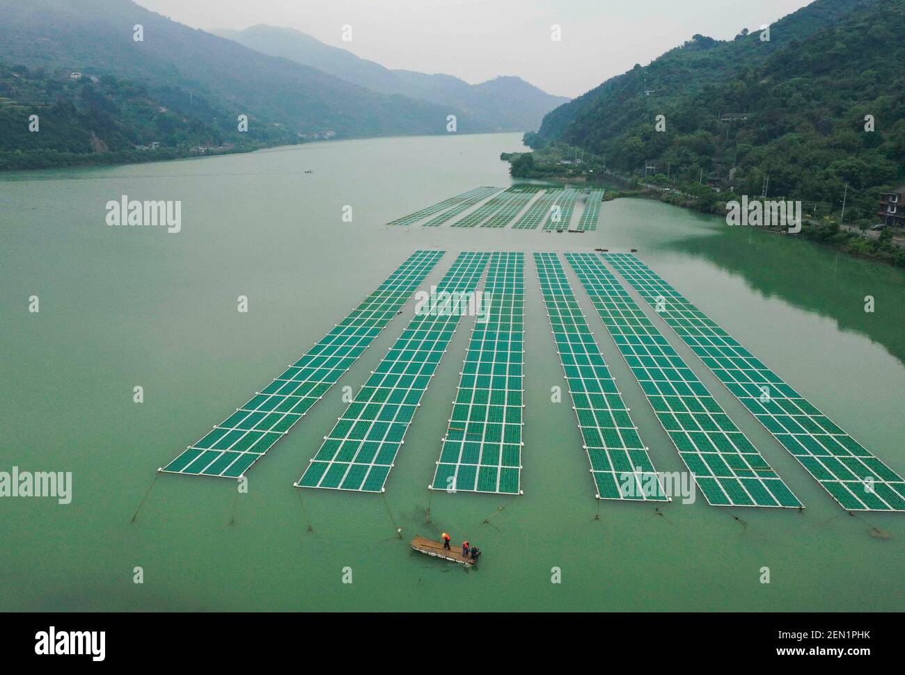 Chinese workers prepare to move aquatic plants on the ecological ...