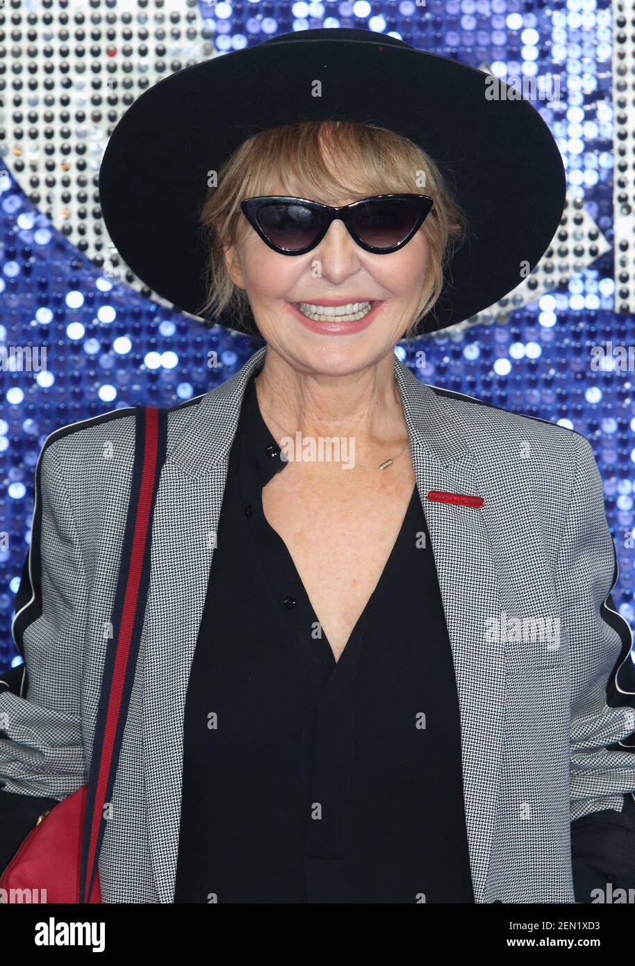 Lulu attends the UK Premiere of Rocketman at the Odeon Luxe, Leicester ...