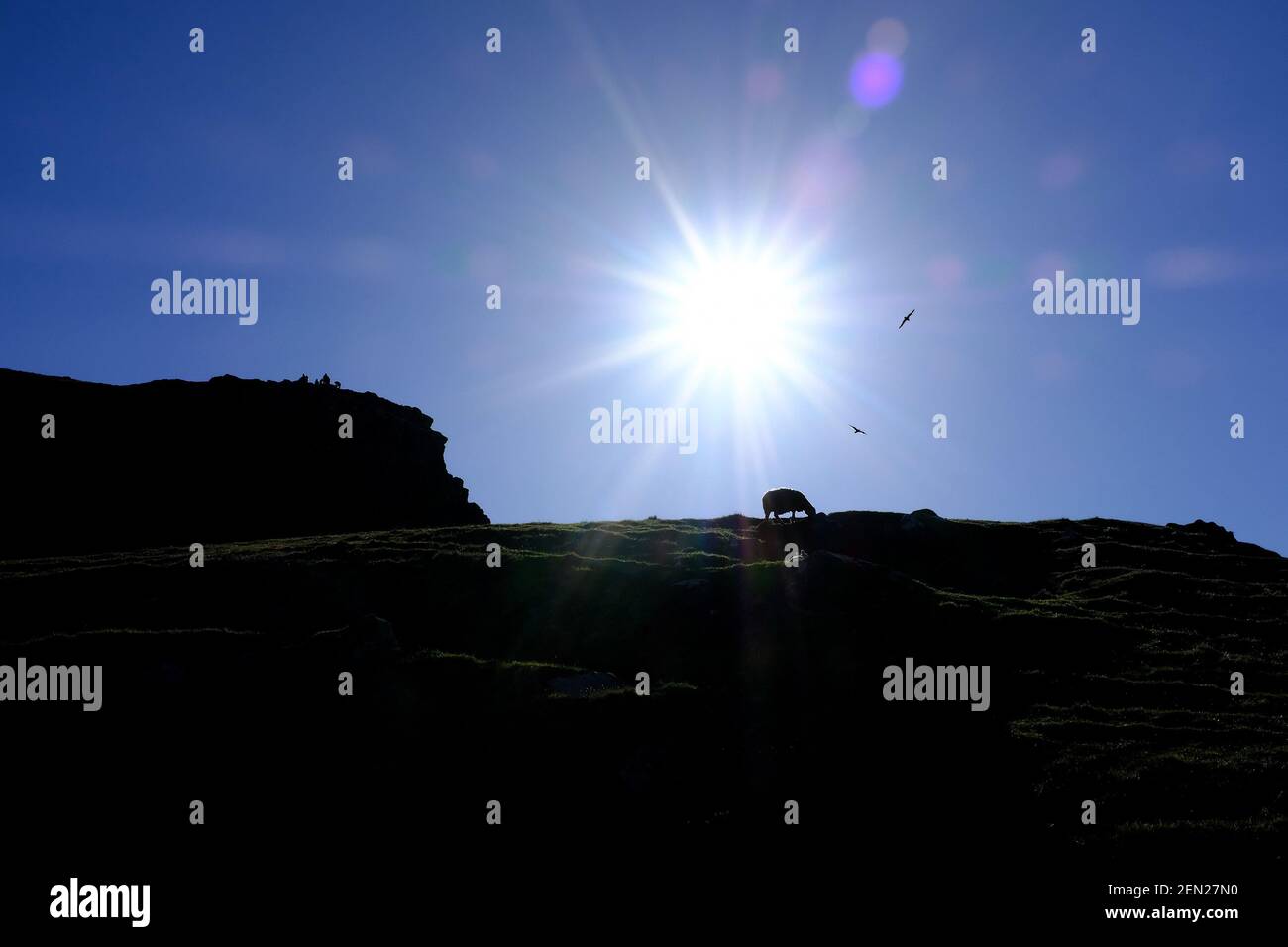 Isle of Skye Loch general view of the cliff of Neist point (and sheep ...