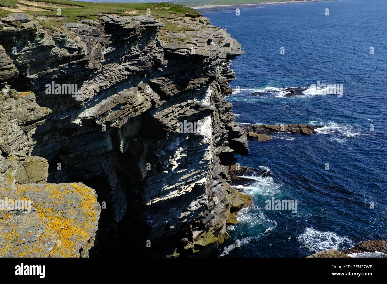 Orkney Islands, Mainland, cliffs at Brough Head Scotland May 8th - 19th ...