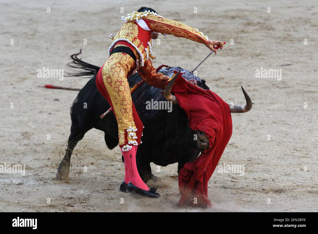 Spanish matador Emilio de Justo is seen performing with a Jandilla ...