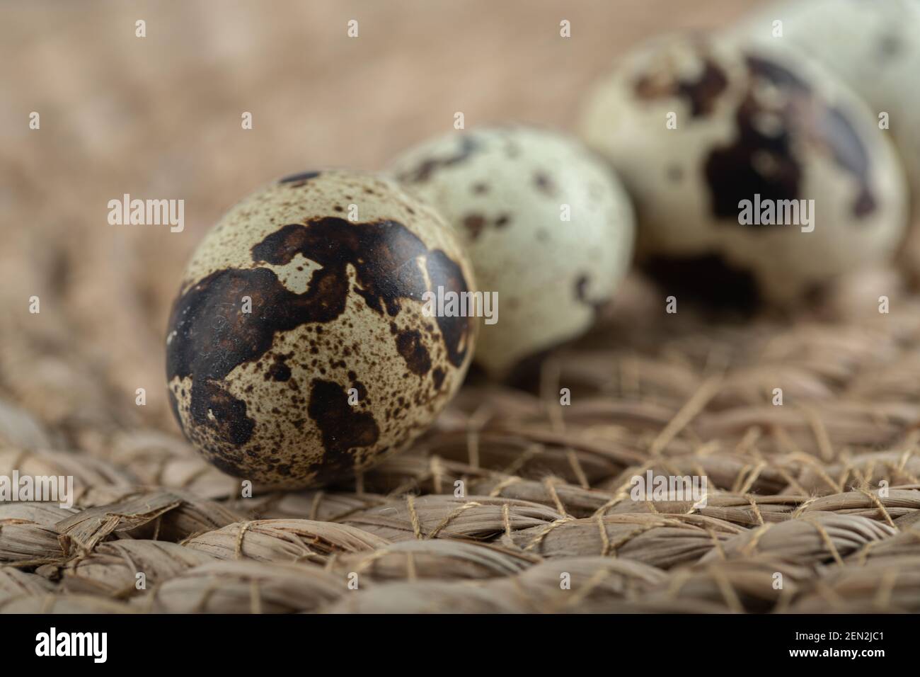 Macro photo of organic quail egg Stock Photo - Alamy