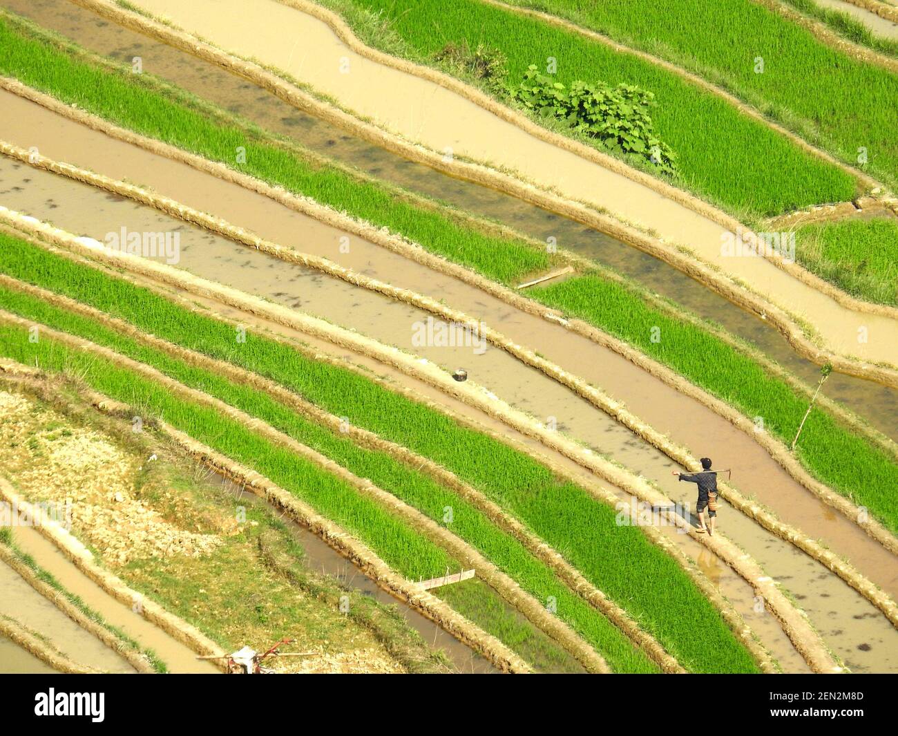 Congjiang, CHINA-Aerial photography of terraced fields in Congjiang ...