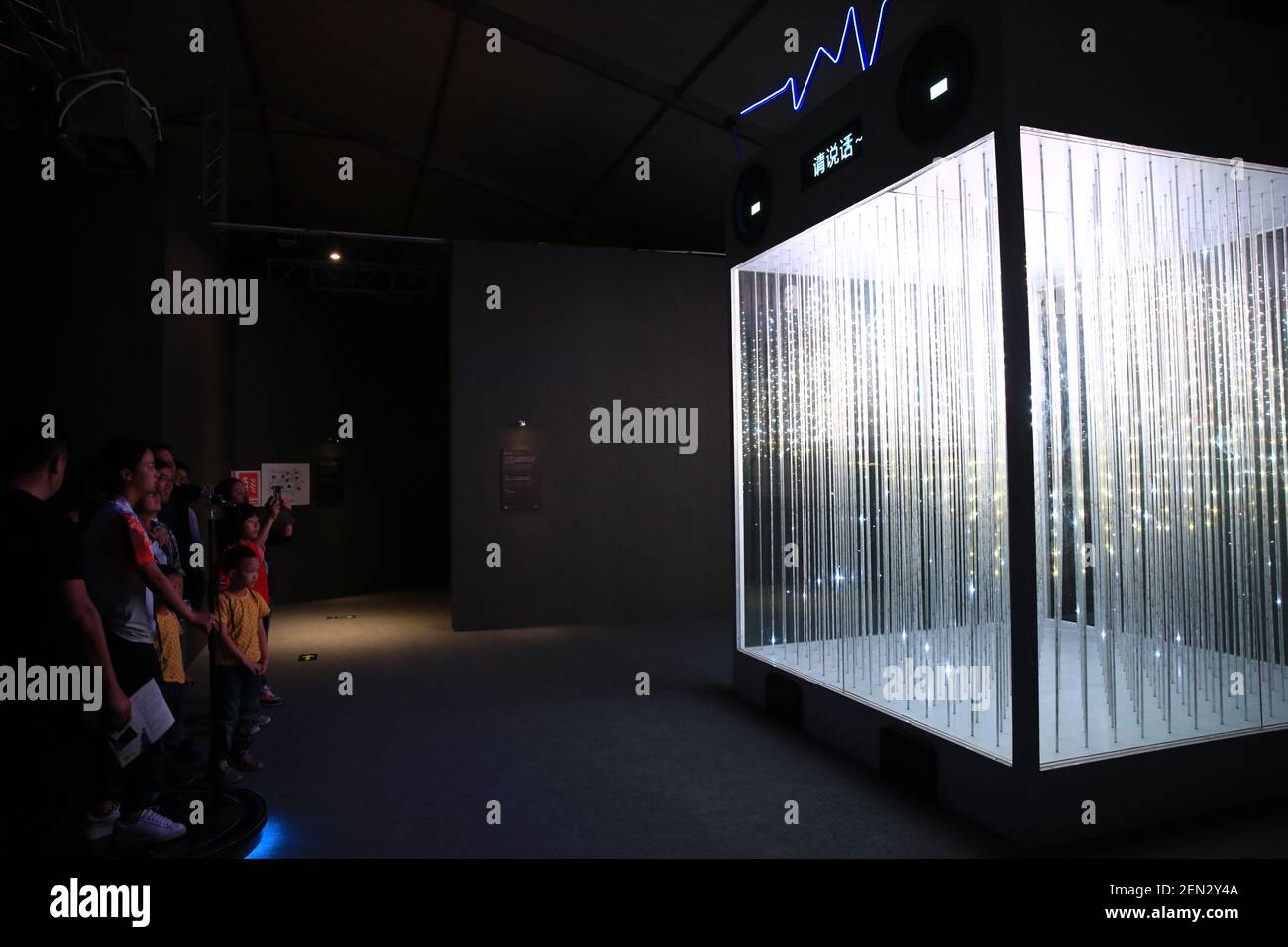 Visitors view an immersive digital art exhibition themed around big ...