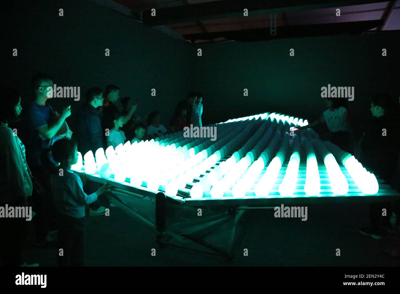 Visitors view an immersive digital art exhibition themed around big ...
