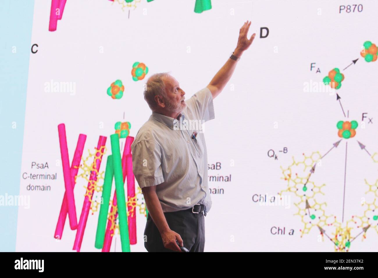 German biochemist Hartmut Michel, Nobel Prize winner for Chemistry in ...