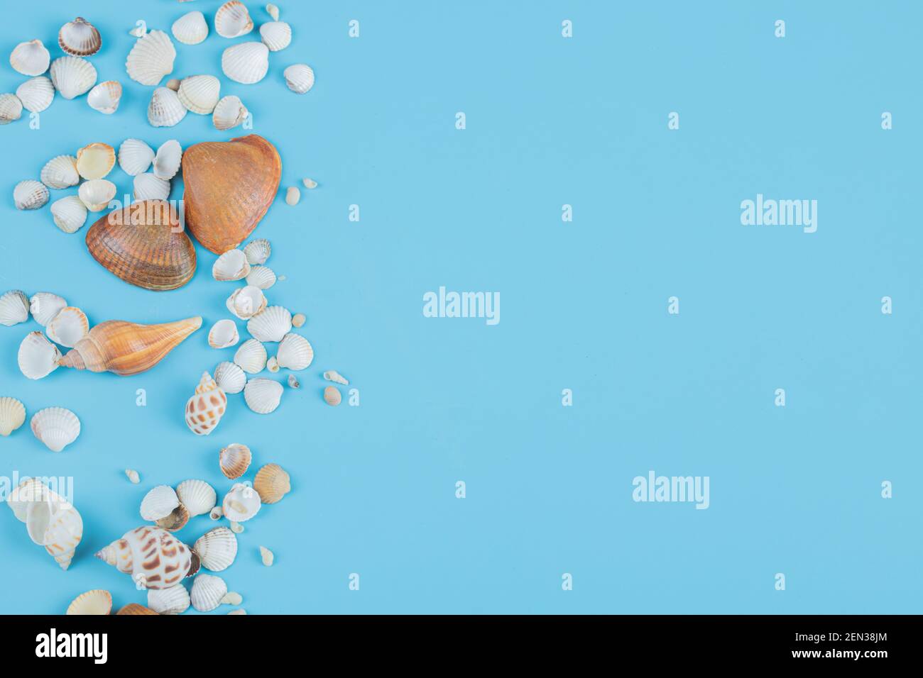 Blue ocean background with sea shells on it Stock Photo - Alamy