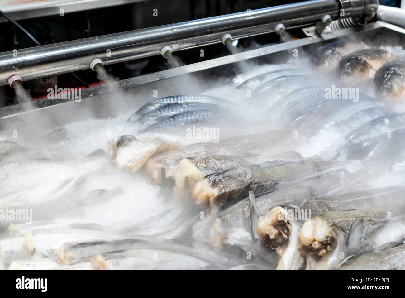 Chilled fish storage hi-res stock photography and images - Alamy