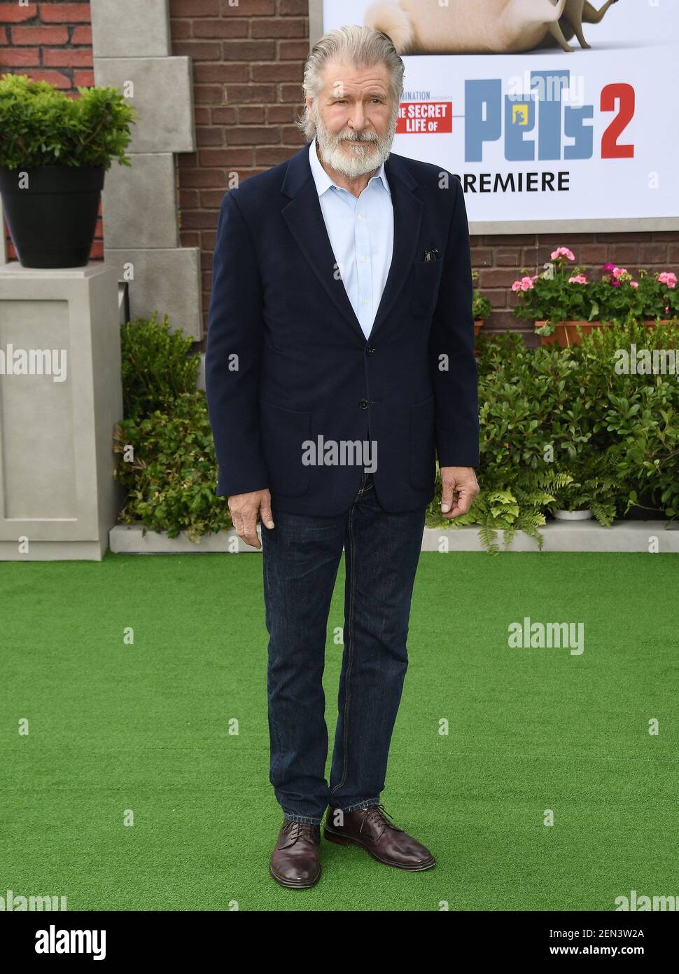 Harrison Ford arrives at the Universal Pictures THE SECRET LIFE OF PETS ...