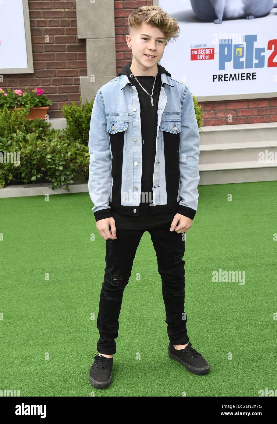 Dylan Hartman arrives at the Universal Pictures THE SECRET LIFE OF PETS ...