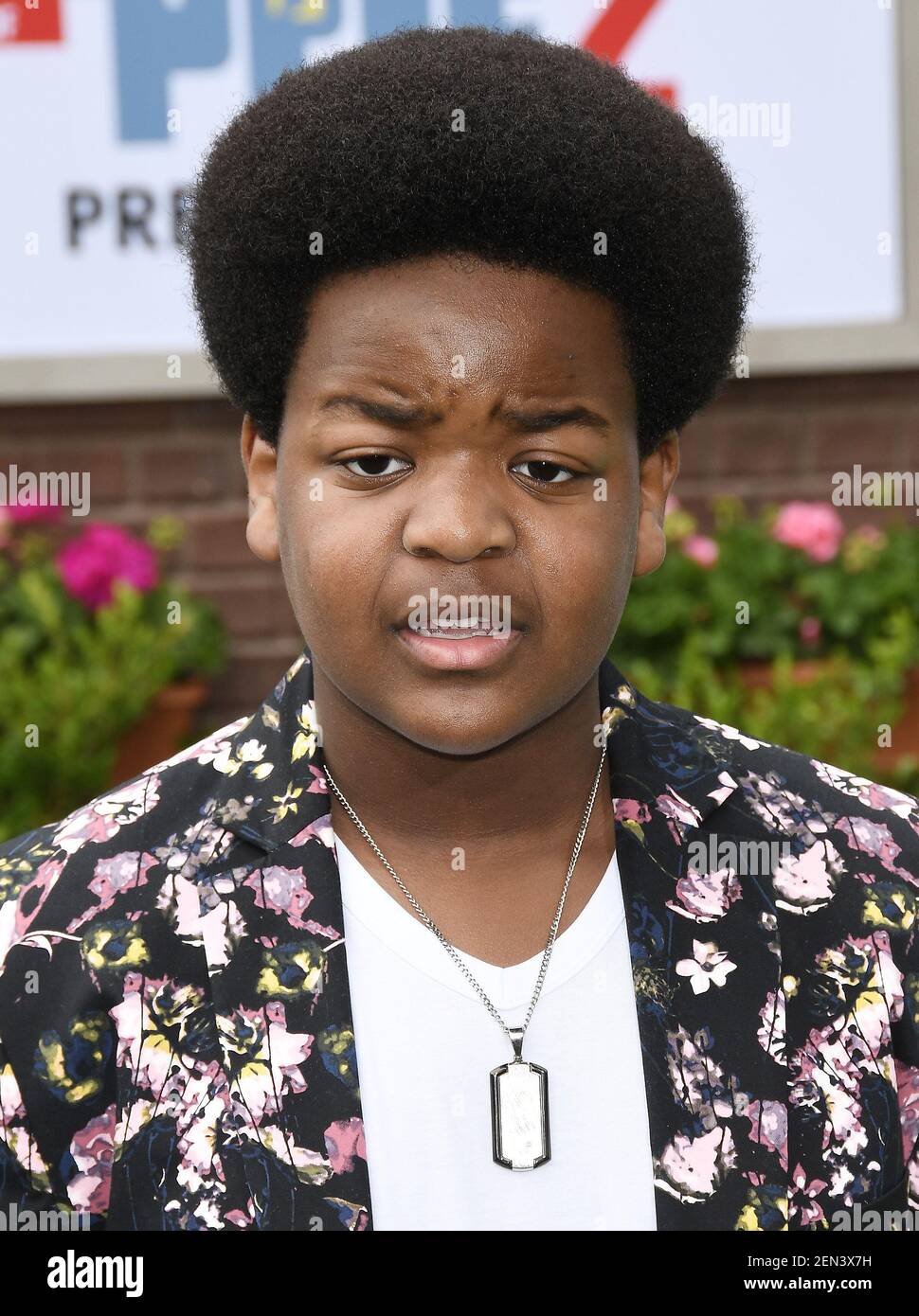 Keith L. Williams arrives at the Universal Pictures THE SECRET LIFE OF ...