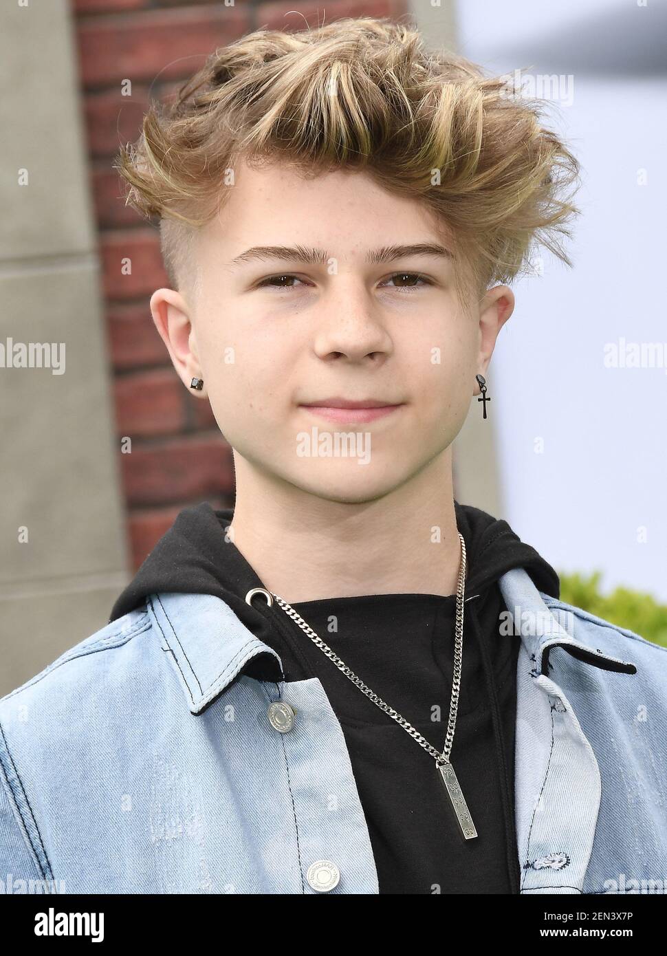 Dylan Hartman arrives at the Universal Pictures THE SECRET LIFE OF PETS ...