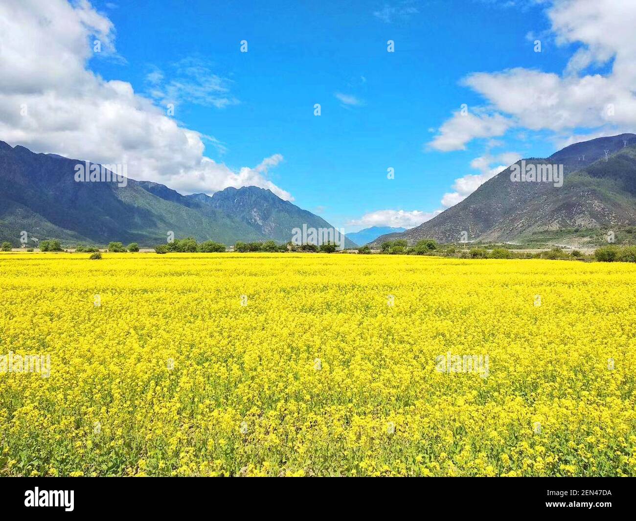 Nyingchi, CHINA-Stunning scenery of Nyingchi in southwest Chinaâ€™s ...
