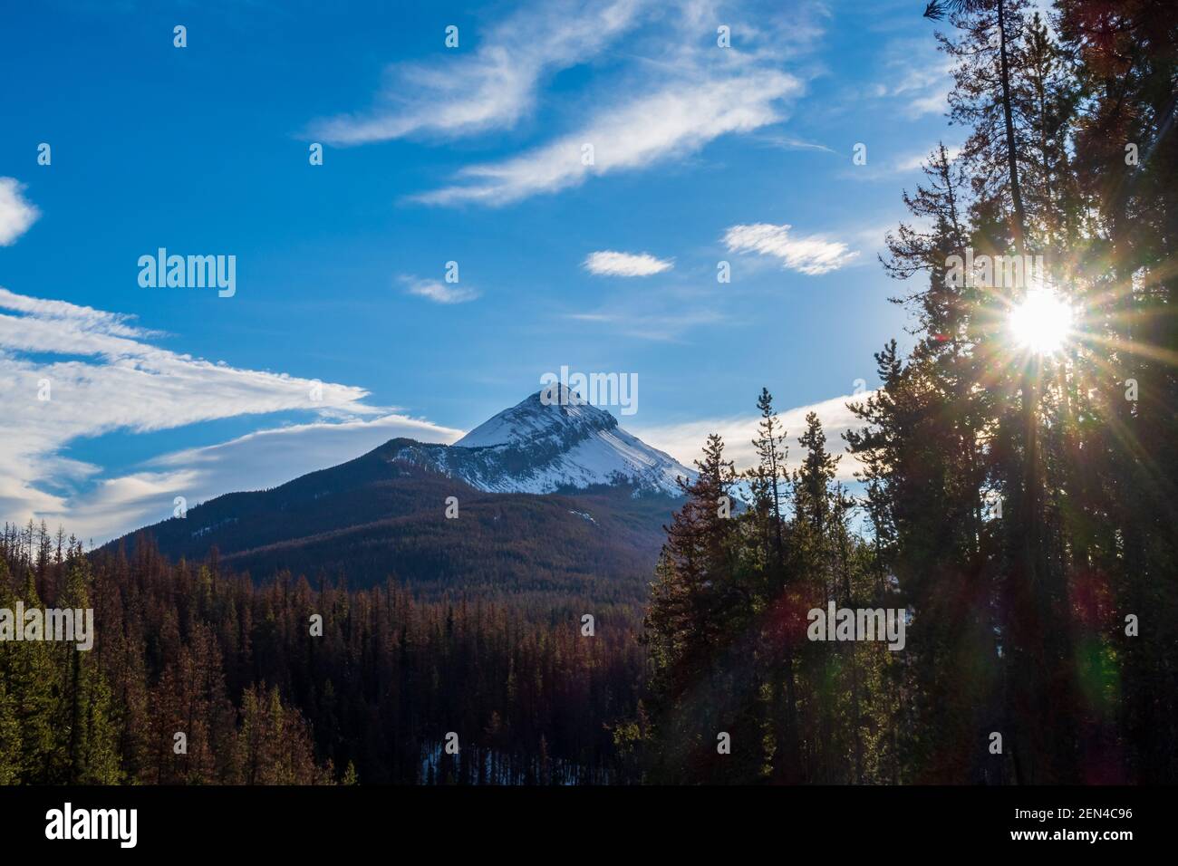 Beautiful mountain view in Jasper national park, Canada Stock Photo - Alamy