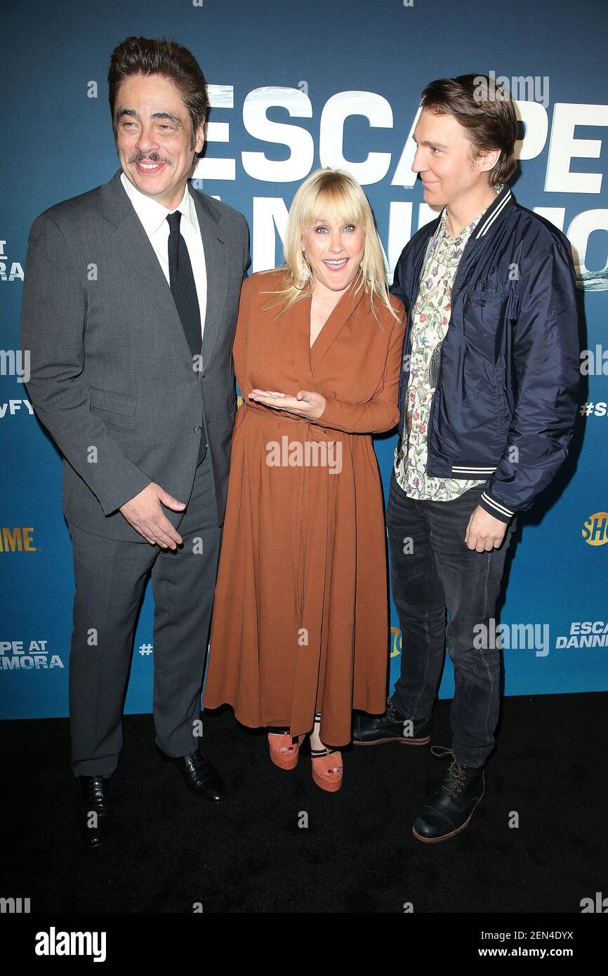Benicio Del Toro, Patricia Arquette, Paul Dano attend the Los Angeles ...
