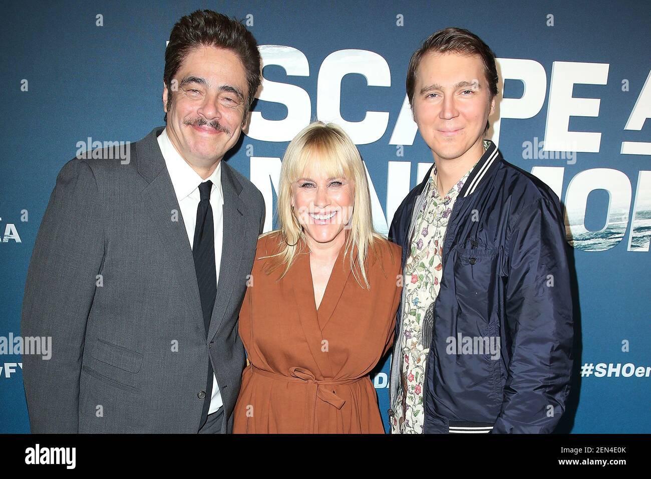 Benicio Del Toro, Patricia Arquette, Paul Dano attend the Los Angeles ...