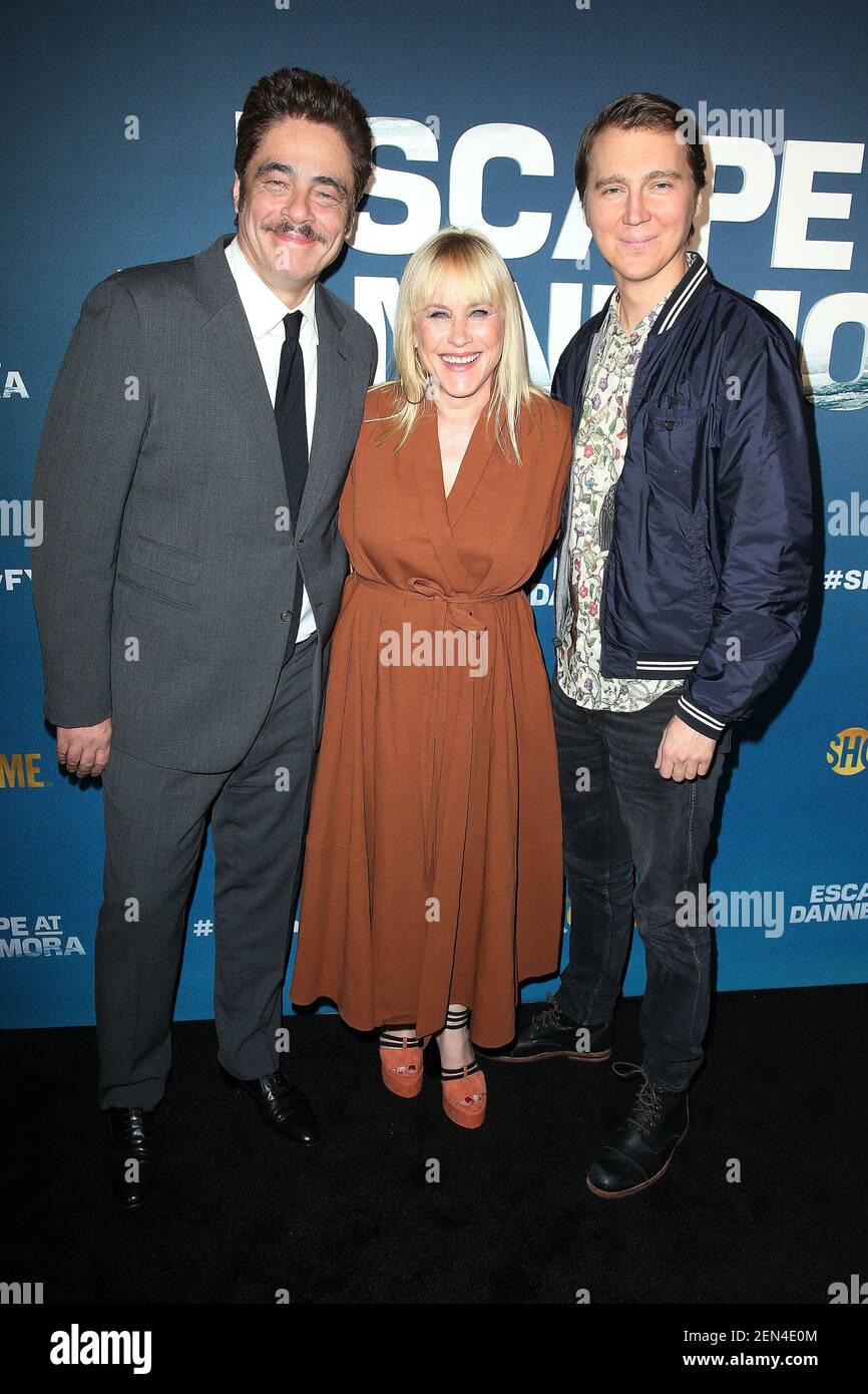 Benicio Del Toro, Patricia Arquette, Paul Dano attend the Los Angeles ...