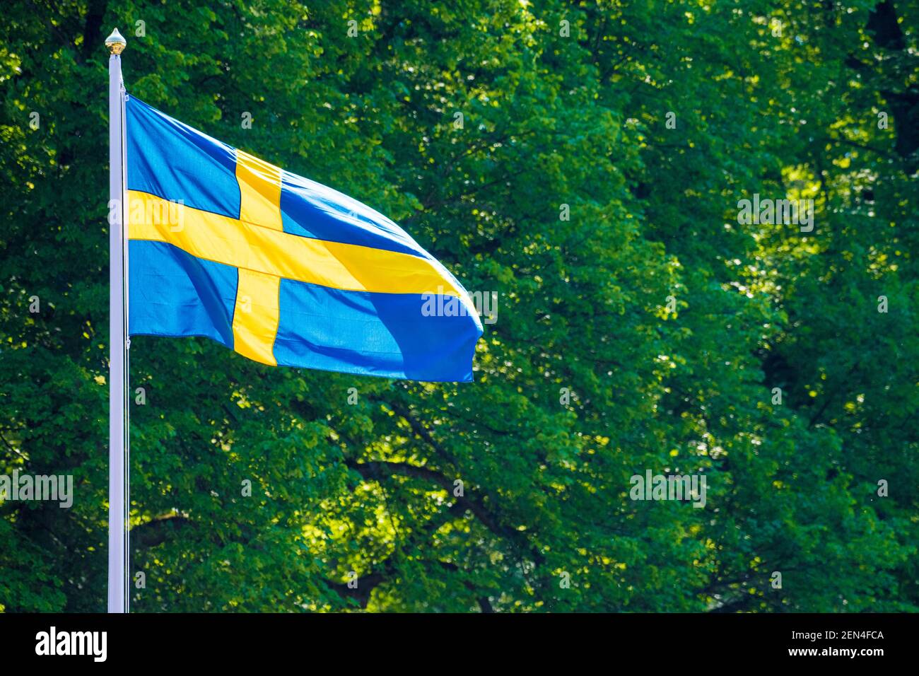 Swedish Flag, The national flag of Sweden during celebration of the ...