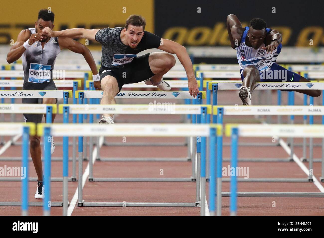 Sergey SHUBENKOV (ANA) wins the race110m Hurdles Men Roma 06-06-2019 ...