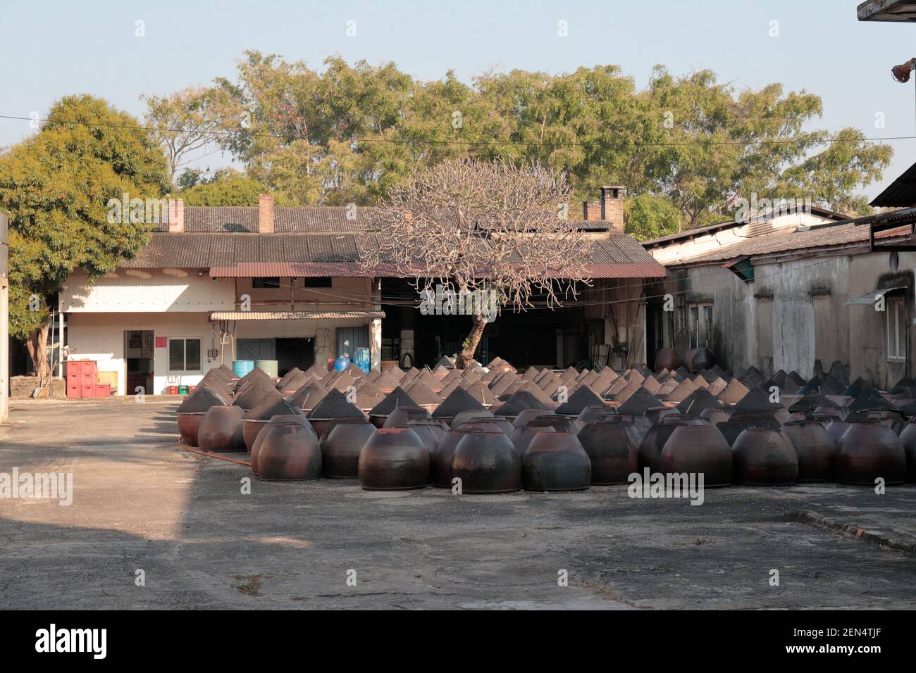 Soy sauce vats hi-res stock photography and images - Alamy