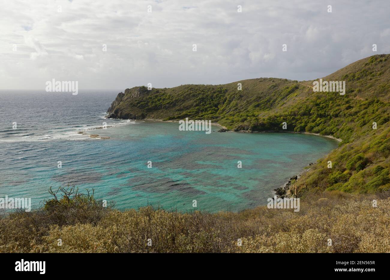 Bvi coral hi-res stock photography and images - Alamy