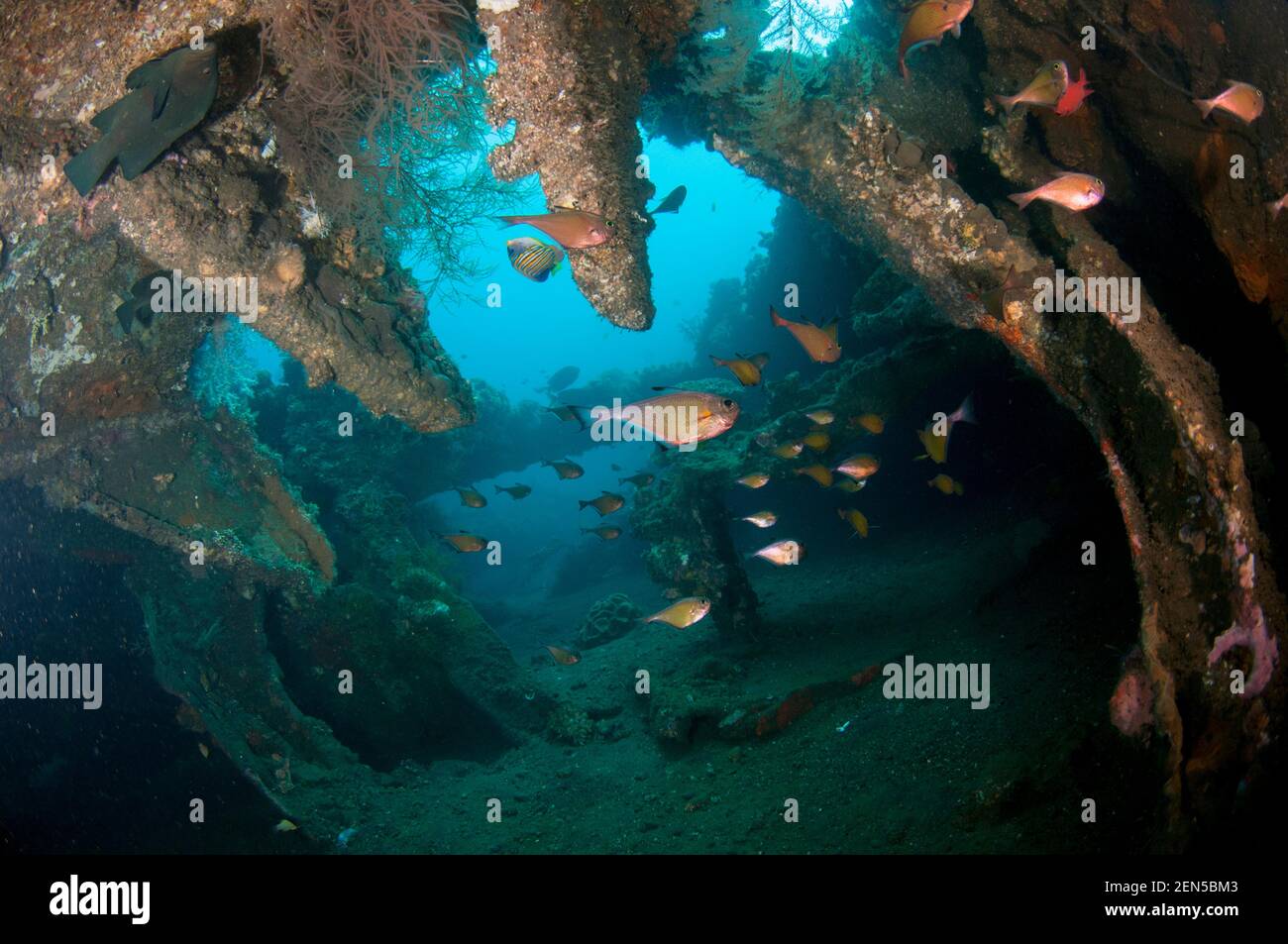 Uss liberty ship hi-res stock photography and images - Alamy