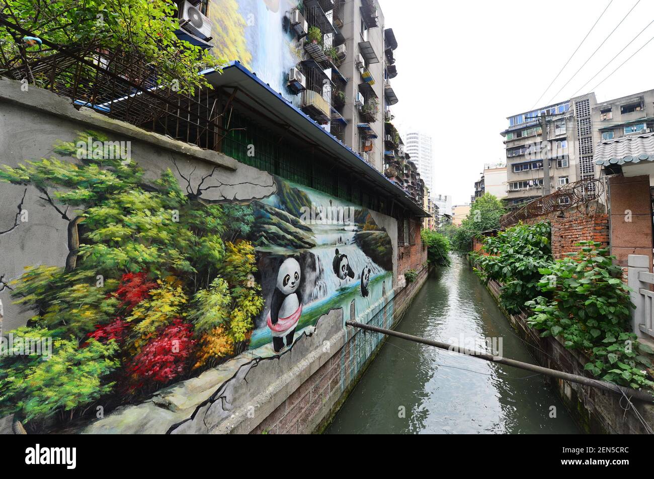 Colorful wall paintings feature giant pandas in an alley in Chengdu ...