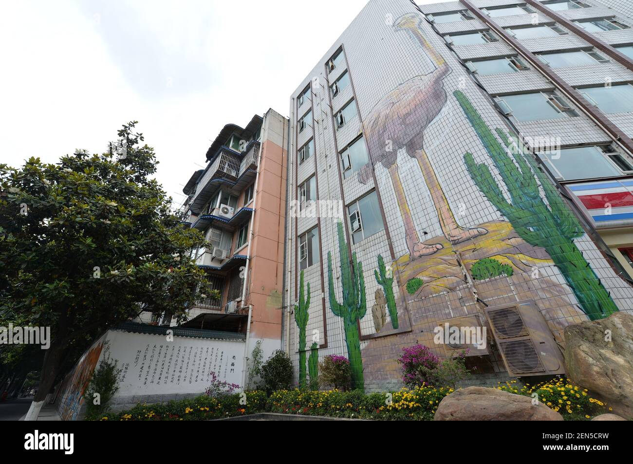 Colorful wall paintings feature giant pandas in an alley in Chengdu ...