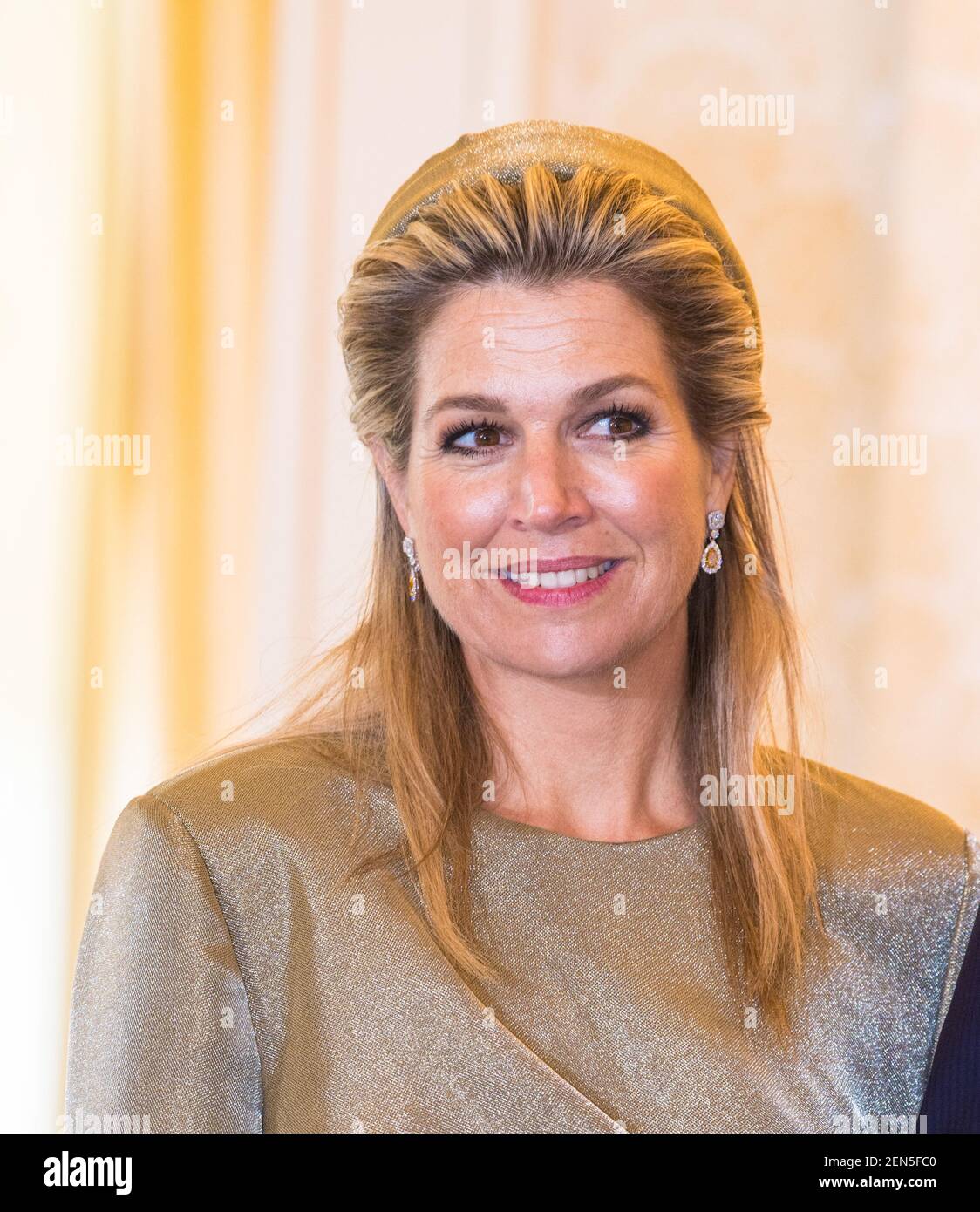 Queen Maxima of the Netherlands during a meeting with president Micheal ...