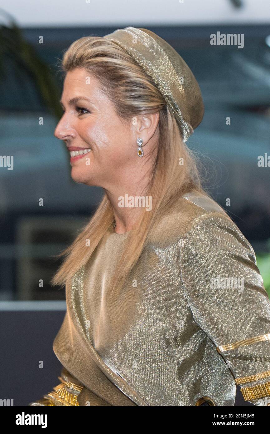 Queen Maxima of the Netherlands during a visit to Dogpatch Labs, Dublin ...