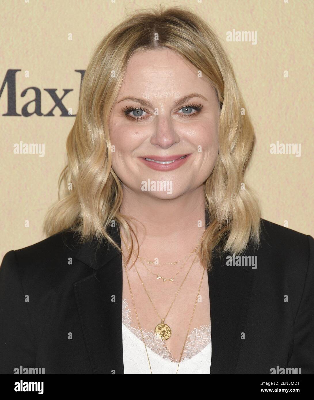 Amy Poehler arrives at the 2019 Women In Film Annual Gala held at the ...
