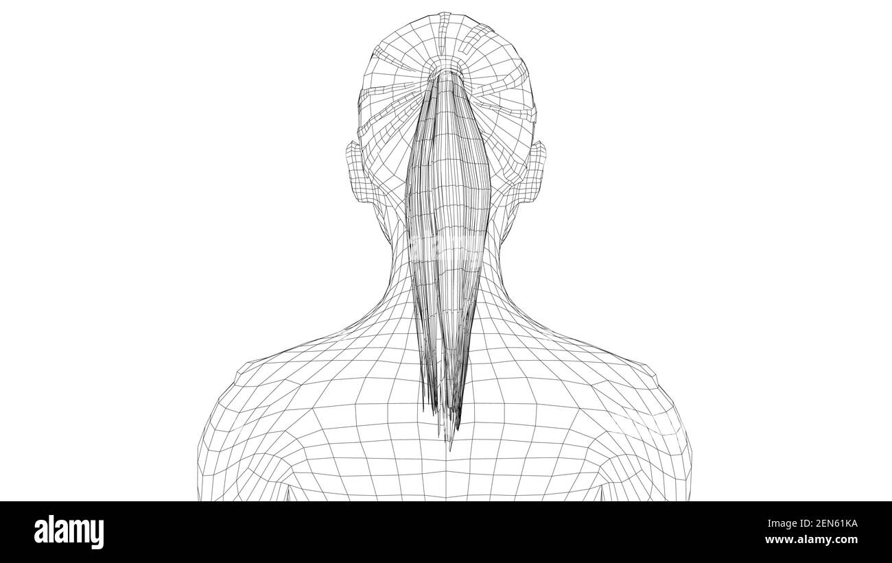 Wireframe portrait of a young beautiful girl Stock Vector Image & Art ...
