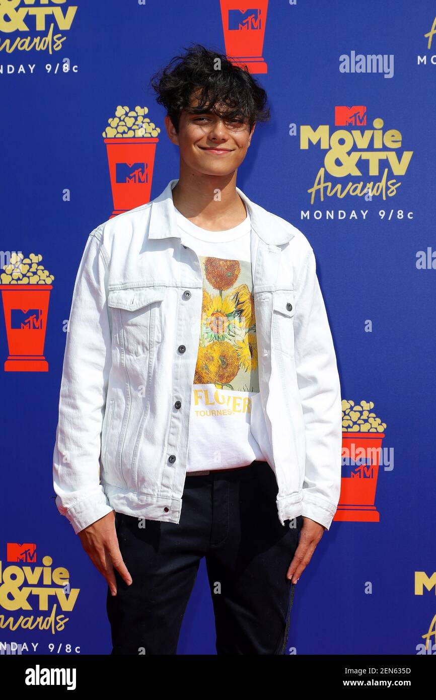 Benjamin De Almeida attends the 2019 MTV Movie and TV Awards held at ...