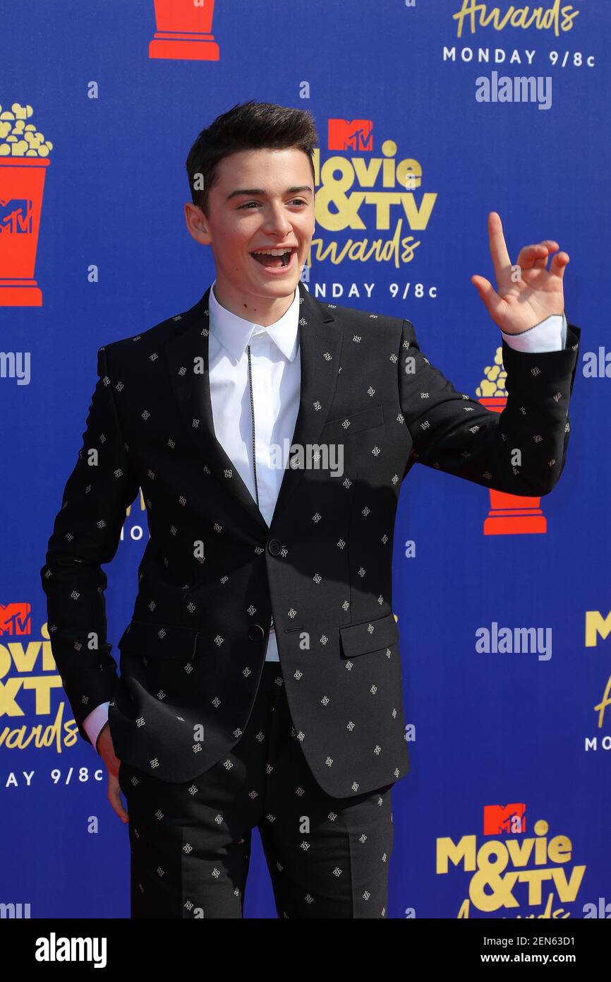 Noah Schnapp attends the 2019 MTV Movie and TV Awards held at Barker Hangar on June 15, 2019 in ...