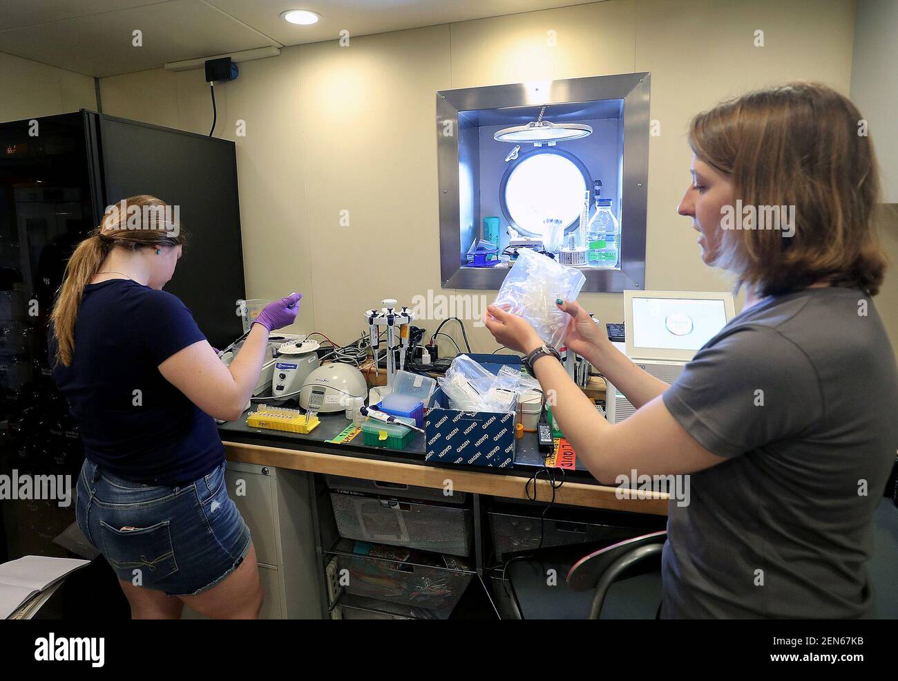 Cynthia Becker, with the Woods Hole Oceanographic Institution, is one ...