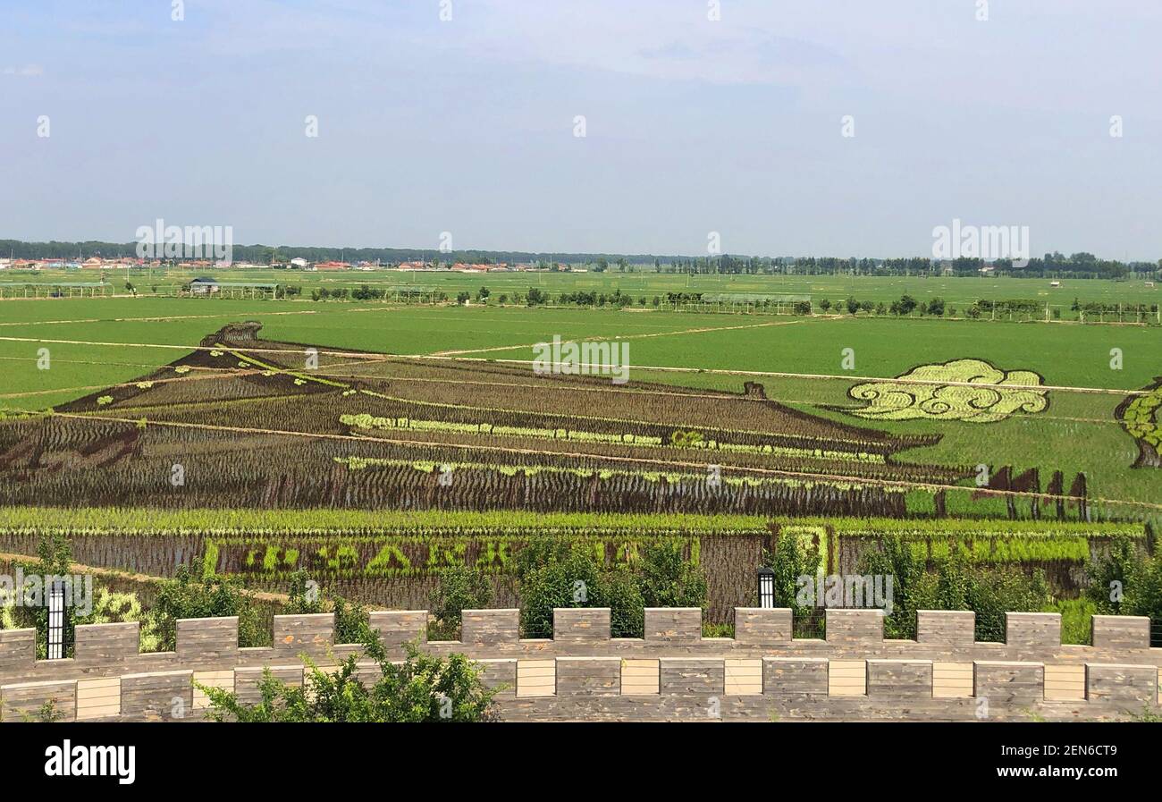 A 3D rice paddy painting featuring the shape of Tian'anmen Rostrum is ...
