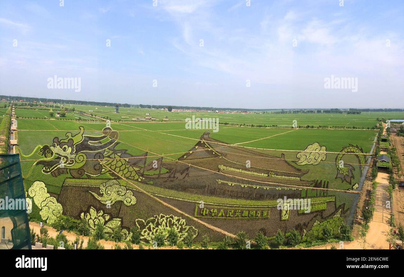 A 3D rice paddy painting featuring the shape of Tian'anmen Rostrum is ...