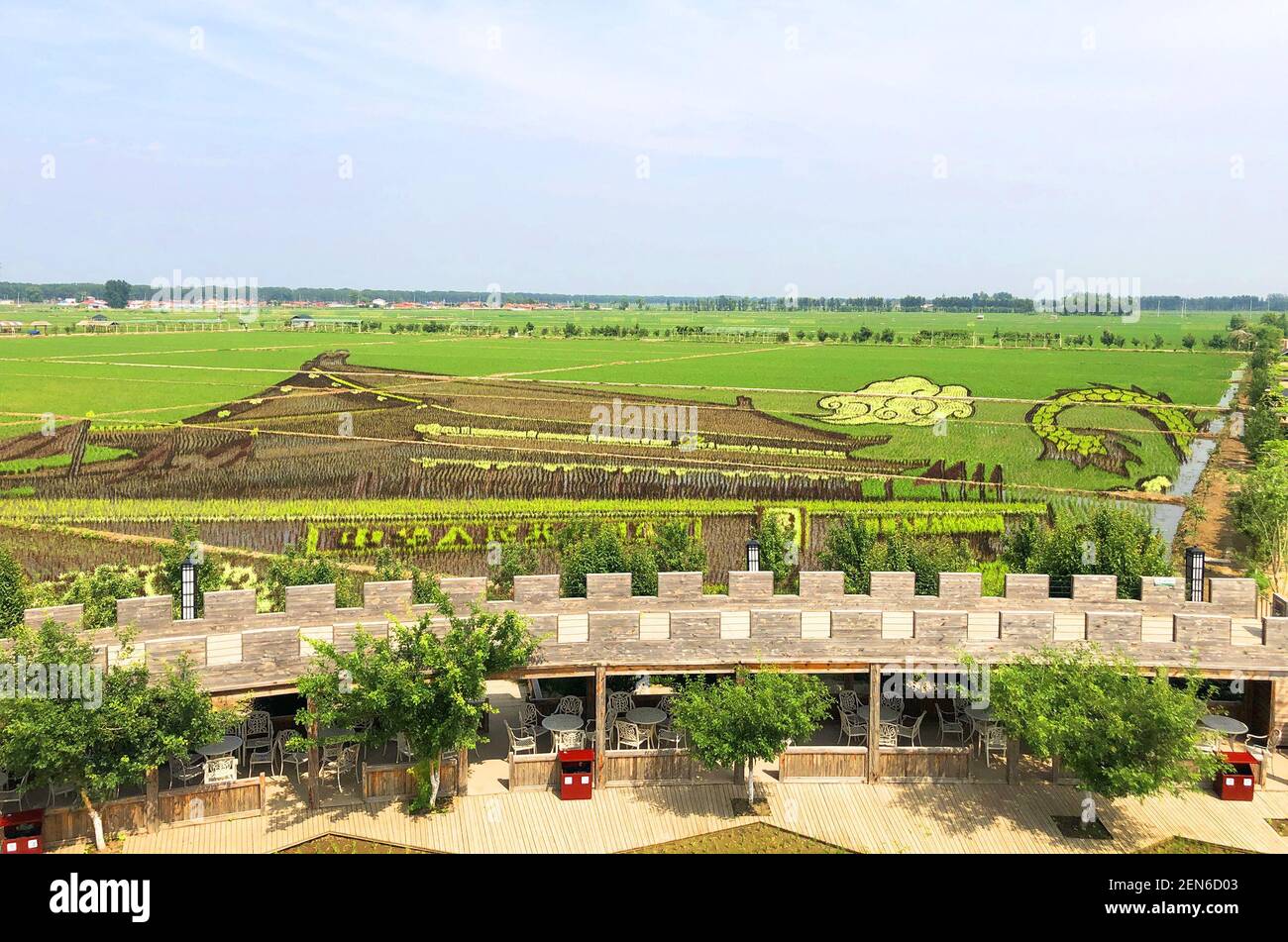 A 3D rice paddy painting featuring the shape of Tian'anmen Rostrum is ...