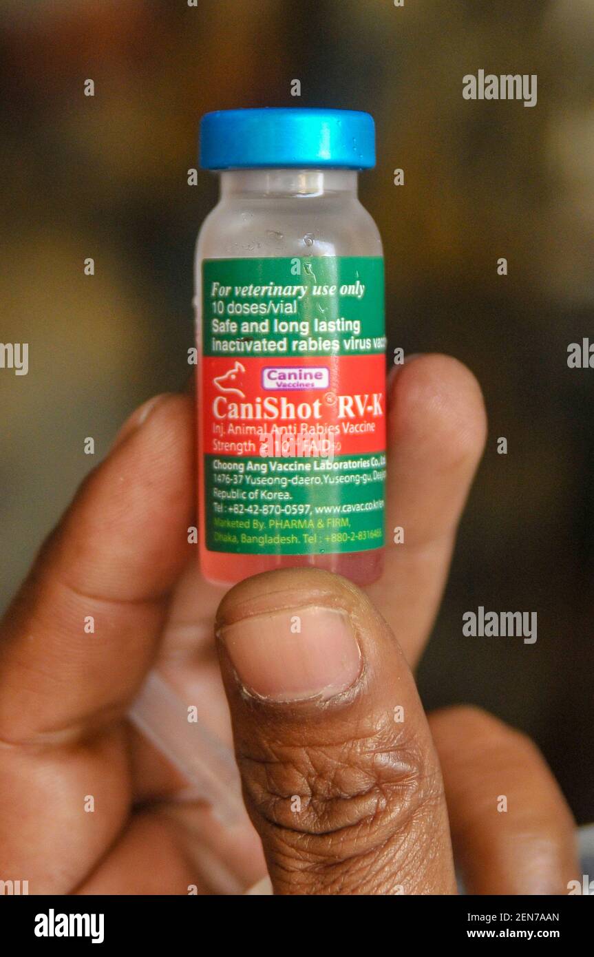 National rabies control program hi-res stock photography and images - Alamy