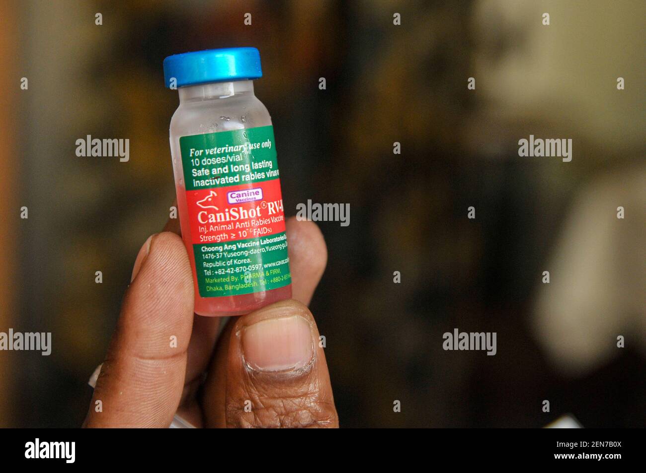 National rabies control program hi-res stock photography and images - Alamy