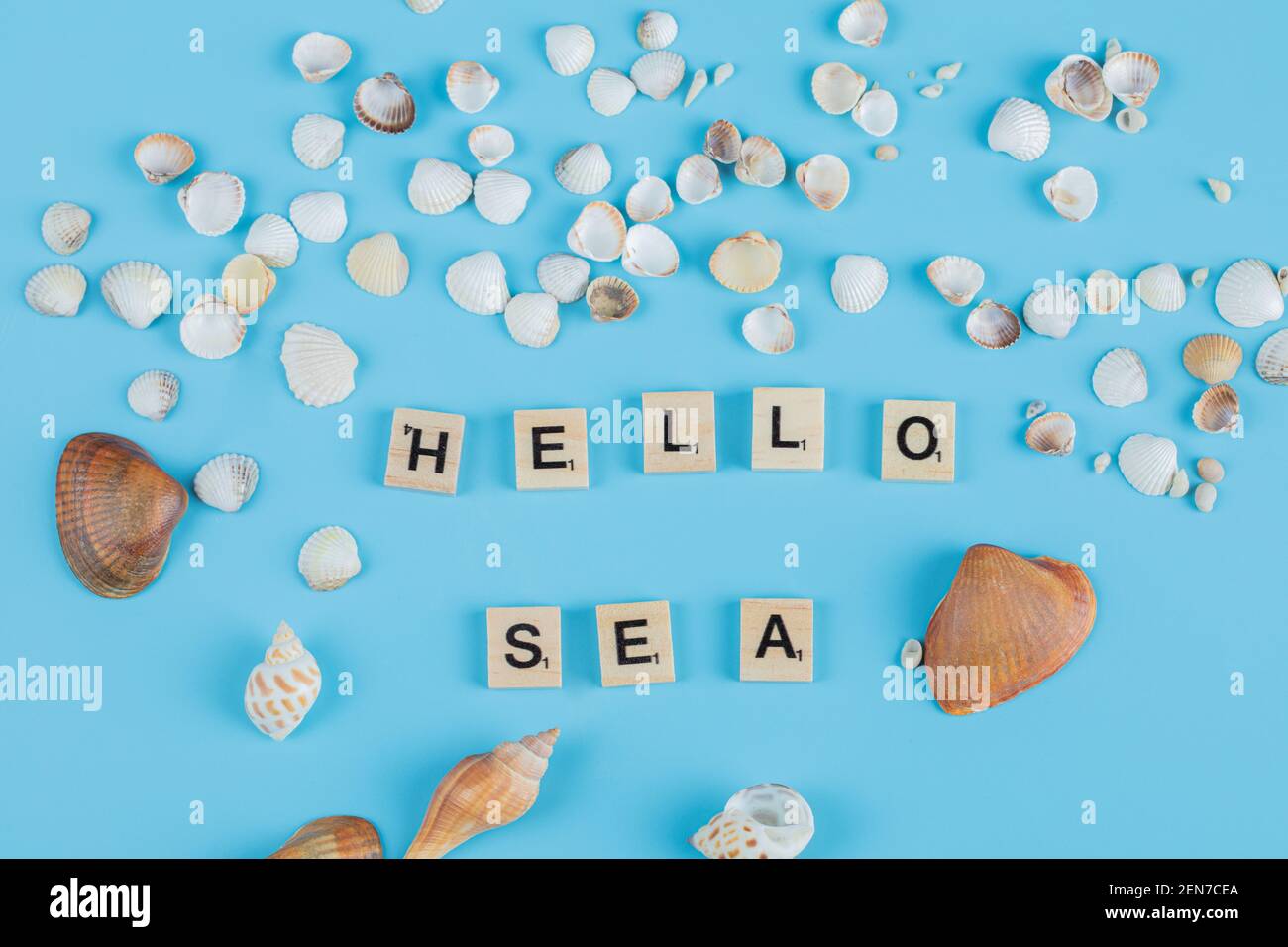 Blue ocean background with sea shells on it Stock Photo - Alamy
