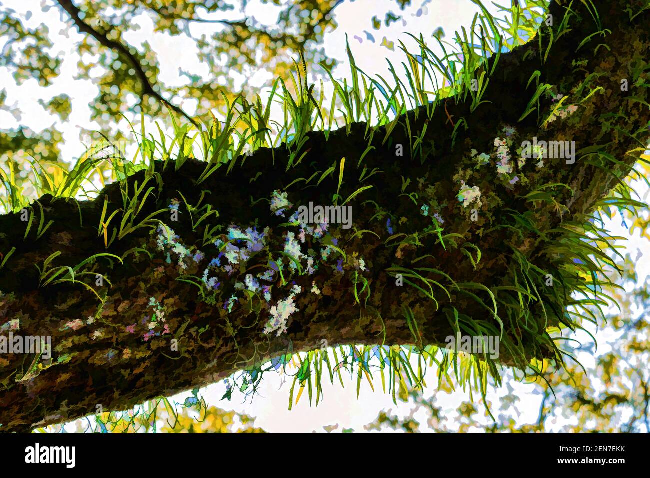 A humongously thick branch of a tree, carries green, black-tipped ...