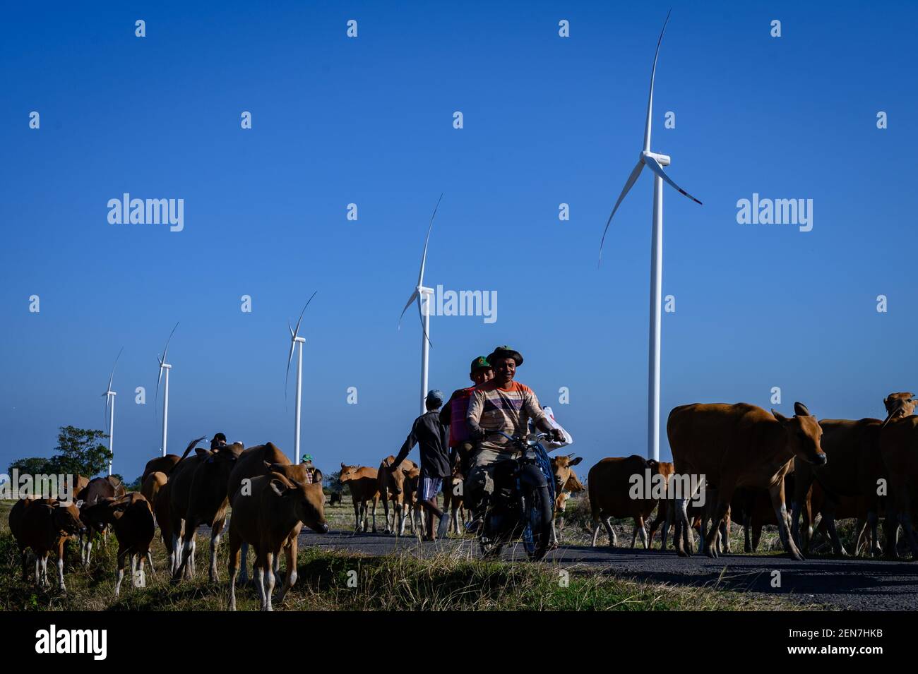 Residents ride past the turbines on Tolo 1Jeneponto wind energy power ...