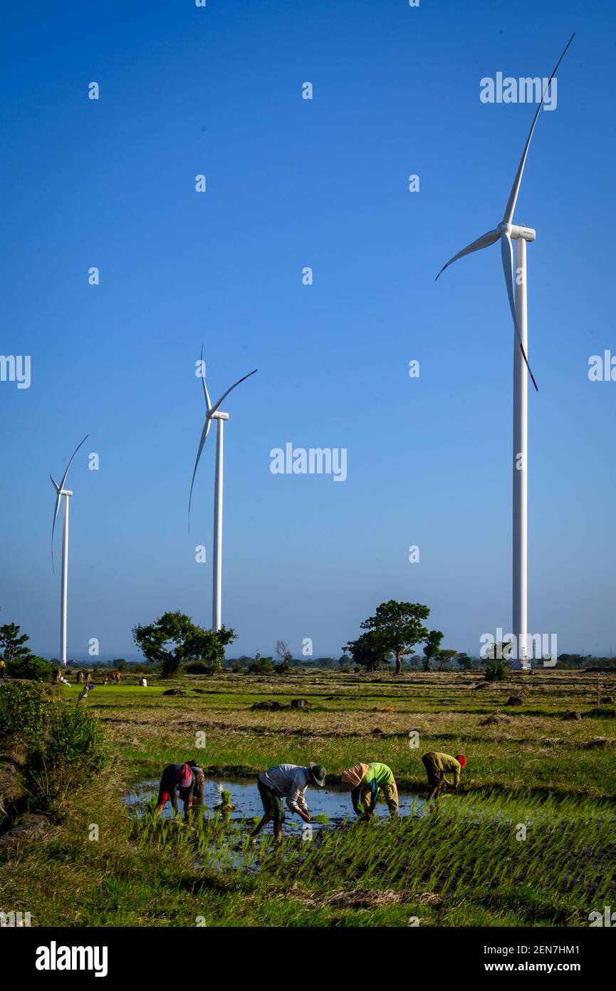 Residents are seen farming next to the turbines on Tolo 1Jeneponto wind ...