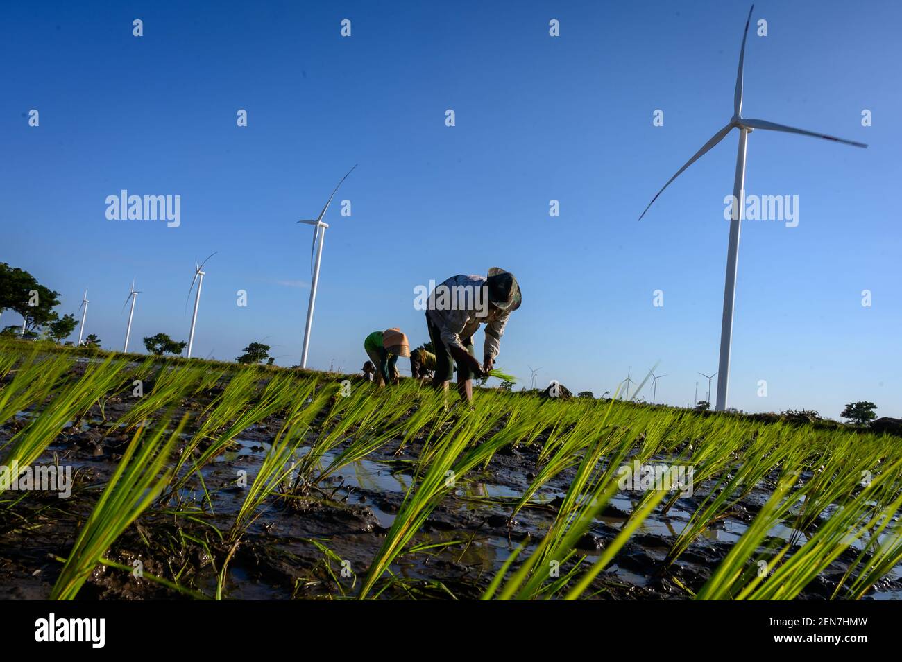 Residents are seen farming next to the turbines on Tolo 1Jeneponto wind ...
