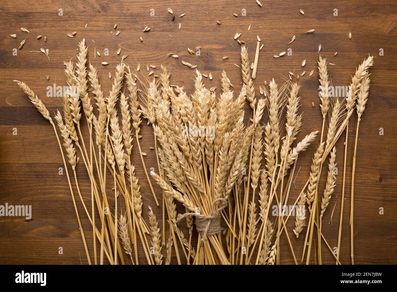 Sheaf ears wheat spikelet hi-res stock photography and images - Alamy