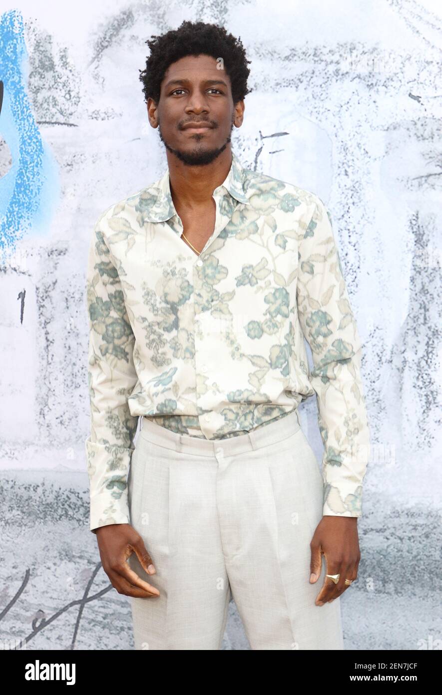 Labrinth attends the Serpentine Gallery Summer Party at Hyde Park in ...