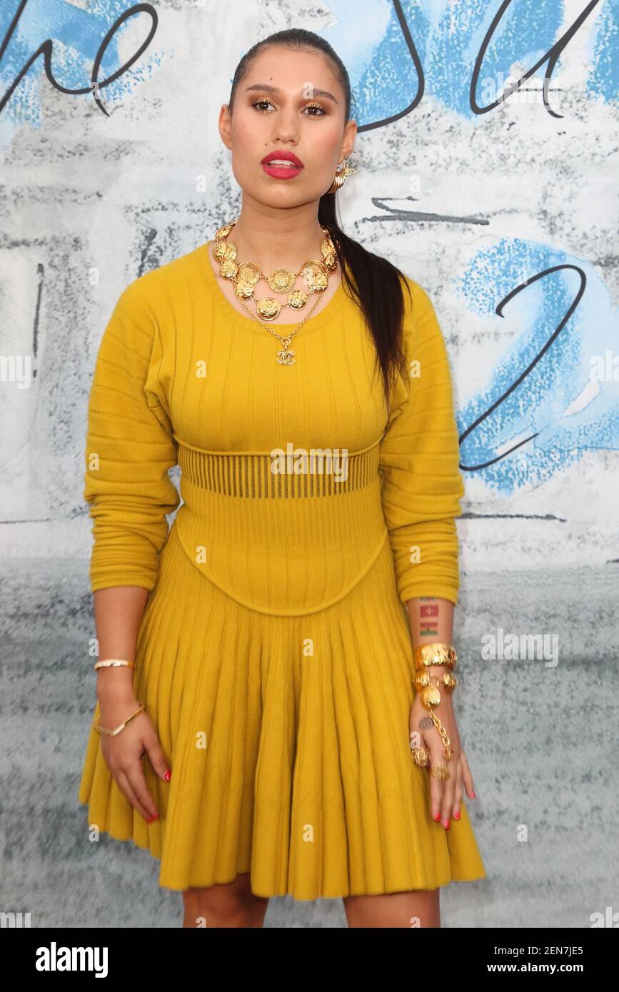 Raye attends the Serpentine Gallery Summer Party at Hyde Park in London ...